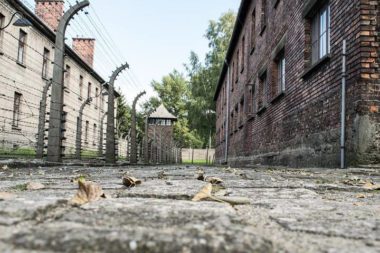 Holocausto: o que é e seu significado. Aprenda mais
