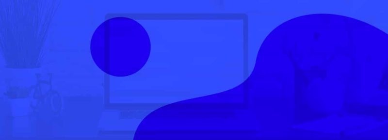 Saio ou saiu: qual o certo? | Blog do Stoodi