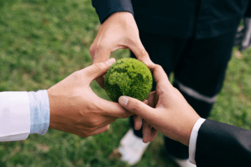 Stoodi | O que foi a COP30, quais objetivos e resultados?